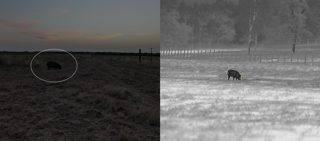 100 Hunting Terms Every Serious Hunter Should Know (Thermal & Night ...